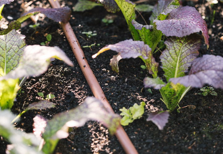 Reece Irrigation - Servicing the landscape and agricultural industries.